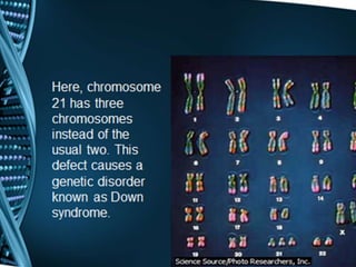 Three Chromosomes Disorder