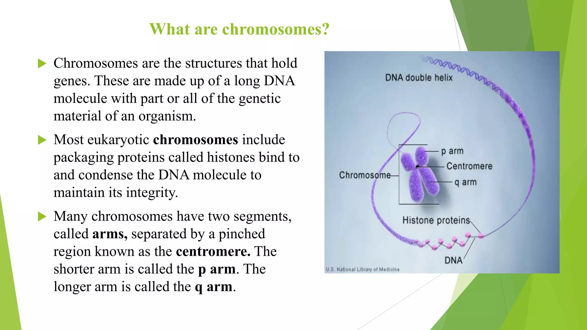chromosomalabnormalitiesppt.pdf