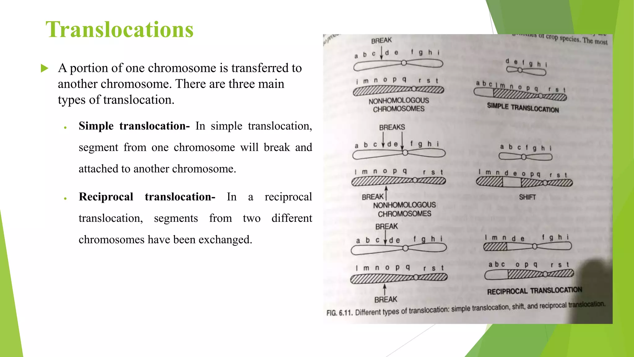 chromosomalabnormalitiesppt.pdf