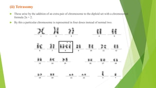 chromosomalabnormalitiesppt.pdf