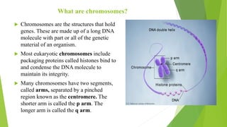 chromosomalabnormalitiesppt.pdf