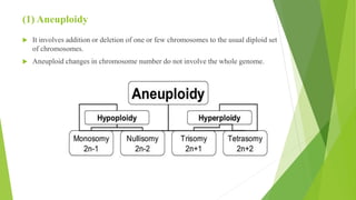 chromosomalabnormalitiesppt.pptx