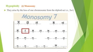 chromosomalabnormalitiesppt.pptx