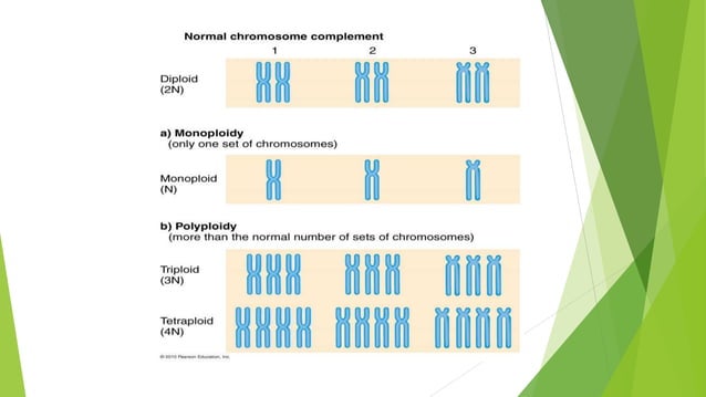 chromosomalabnormalitiesppt.pptx