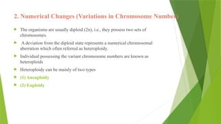 chromosomal abnormalities mutation analysis | PPTX