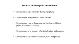 chromosomal abnormalities in humans PPT .pptx