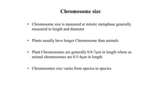 chromosomal abnormalities in humans PPT .pptx