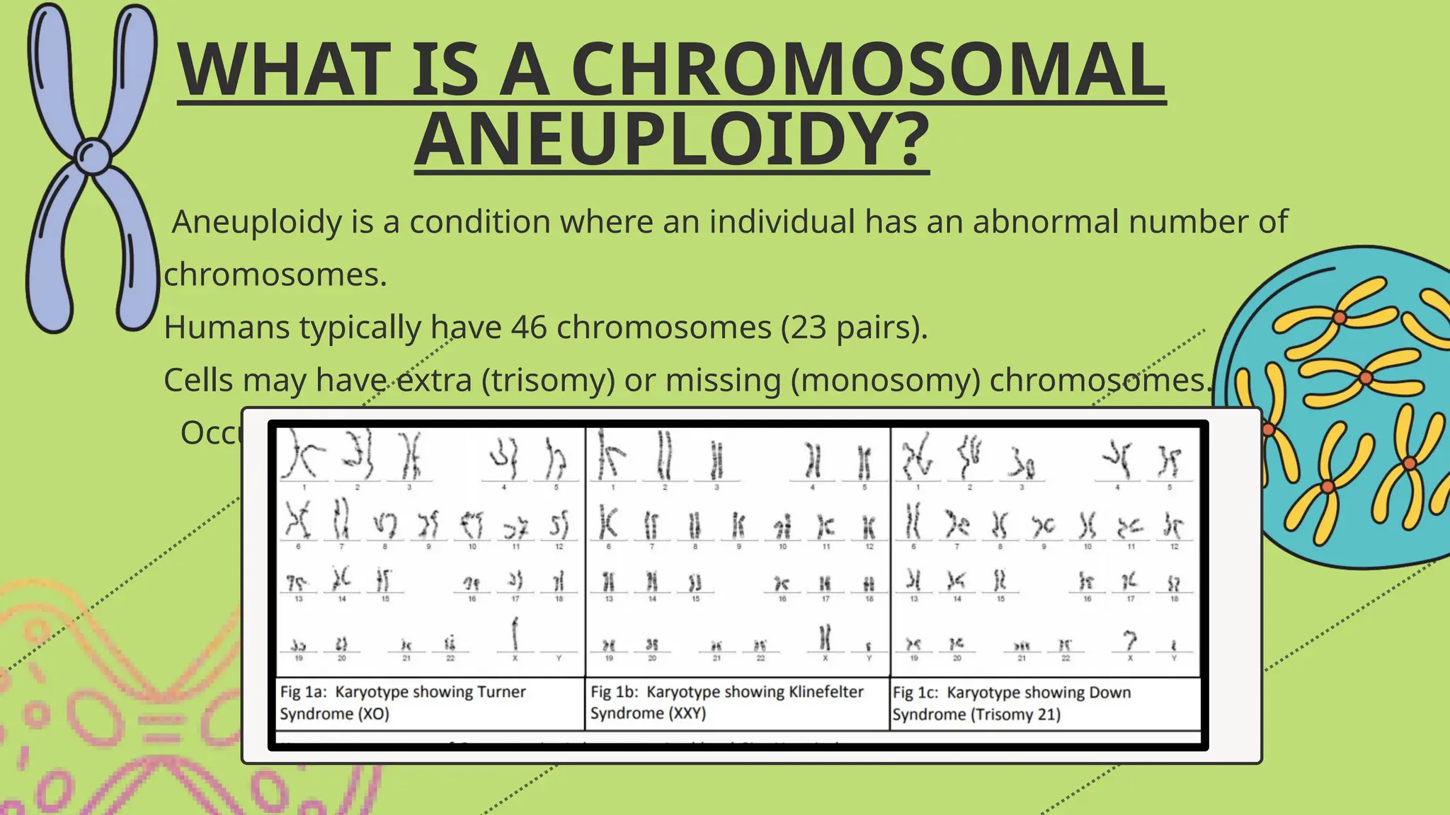 Chromosomal aneuploidy _20250224_124550_0000.pptx