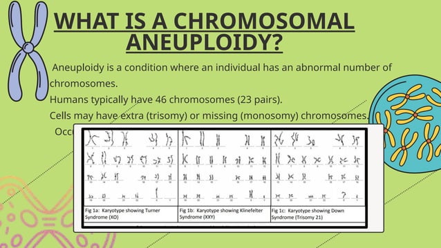 Chromosomal aneuploidy _20250224_124550_0000.pptx