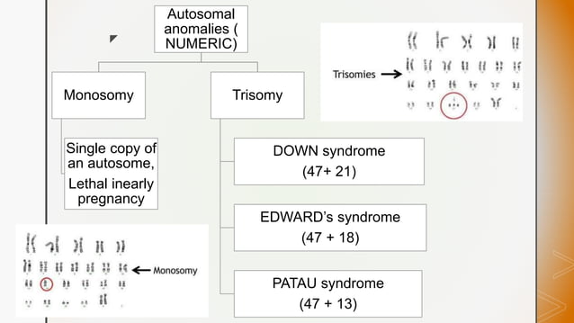 chromosomal anomalies.pptx