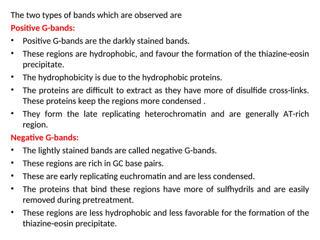Chromosomes and Chromosomal Banding patterns.ppt | Biological Sciences ...