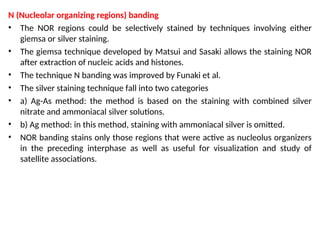 Chromosomes and Chromosomal Banding patterns.ppt | Biological Sciences ...