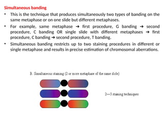 Chromosomes and Chromosomal Banding patterns.ppt