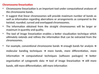 Chromosomes and Chromosomal Banding patterns.ppt | Biological Sciences ...