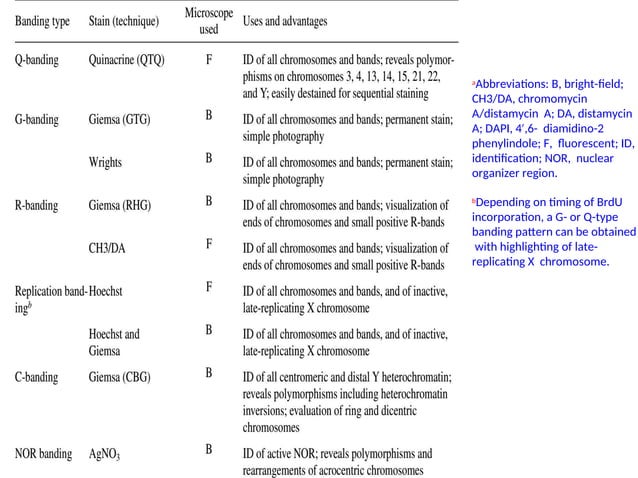 Chromosomes and Chromosomal Banding patterns.ppt | Biological Sciences ...