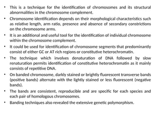 Chromosomes and Chromosomal Banding patterns.ppt