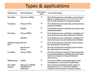 Chromosomal banding technique | PPT