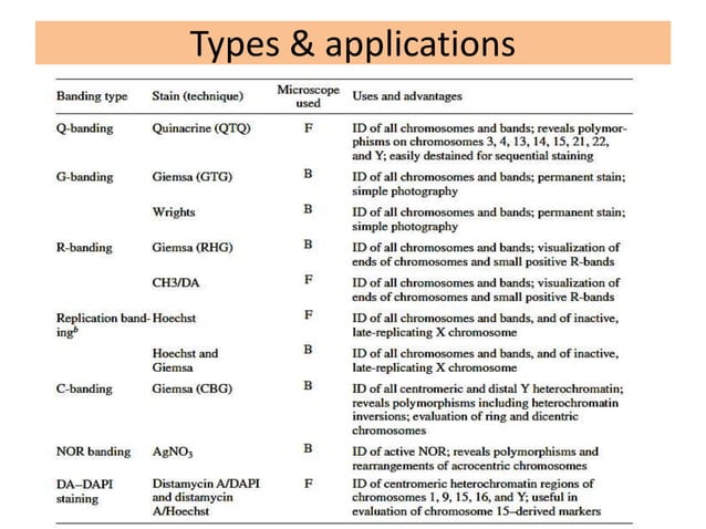 Chromosomal banding technique | PPT