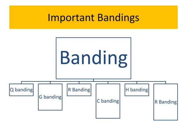 Chromosomal banding technique | PPT