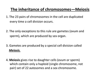 Chromosomal basis of genetics | PPTX