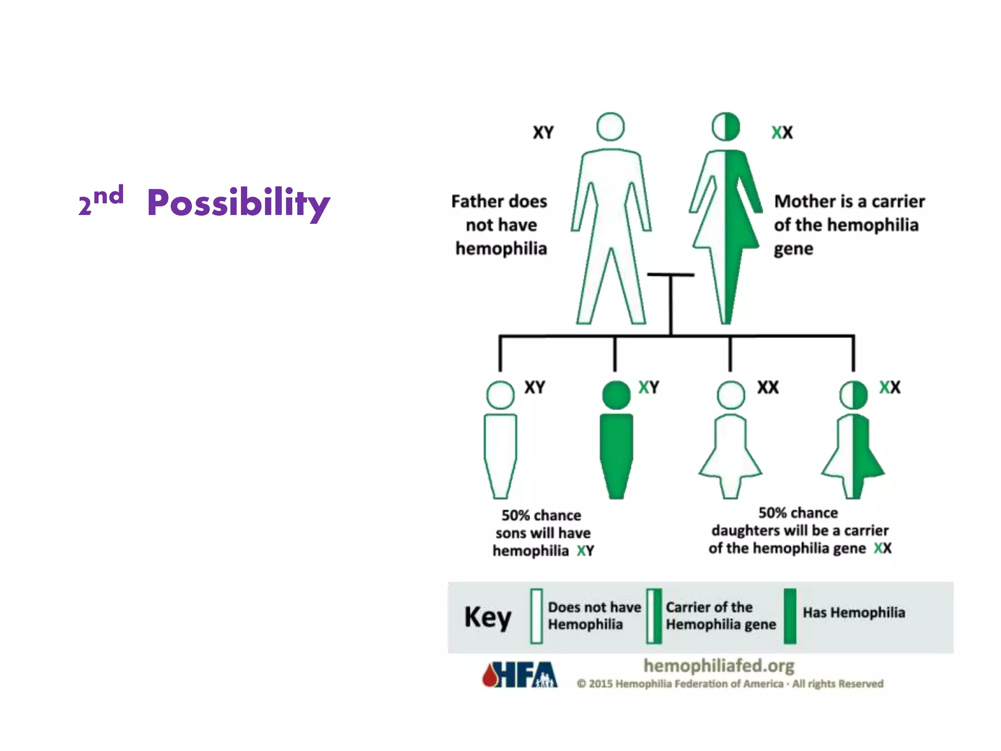 Chromosomal Basis Of Inheritance Ppt