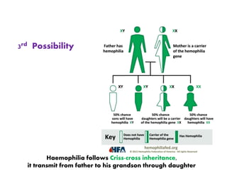 Chromosomal basis of inheritance | PPT