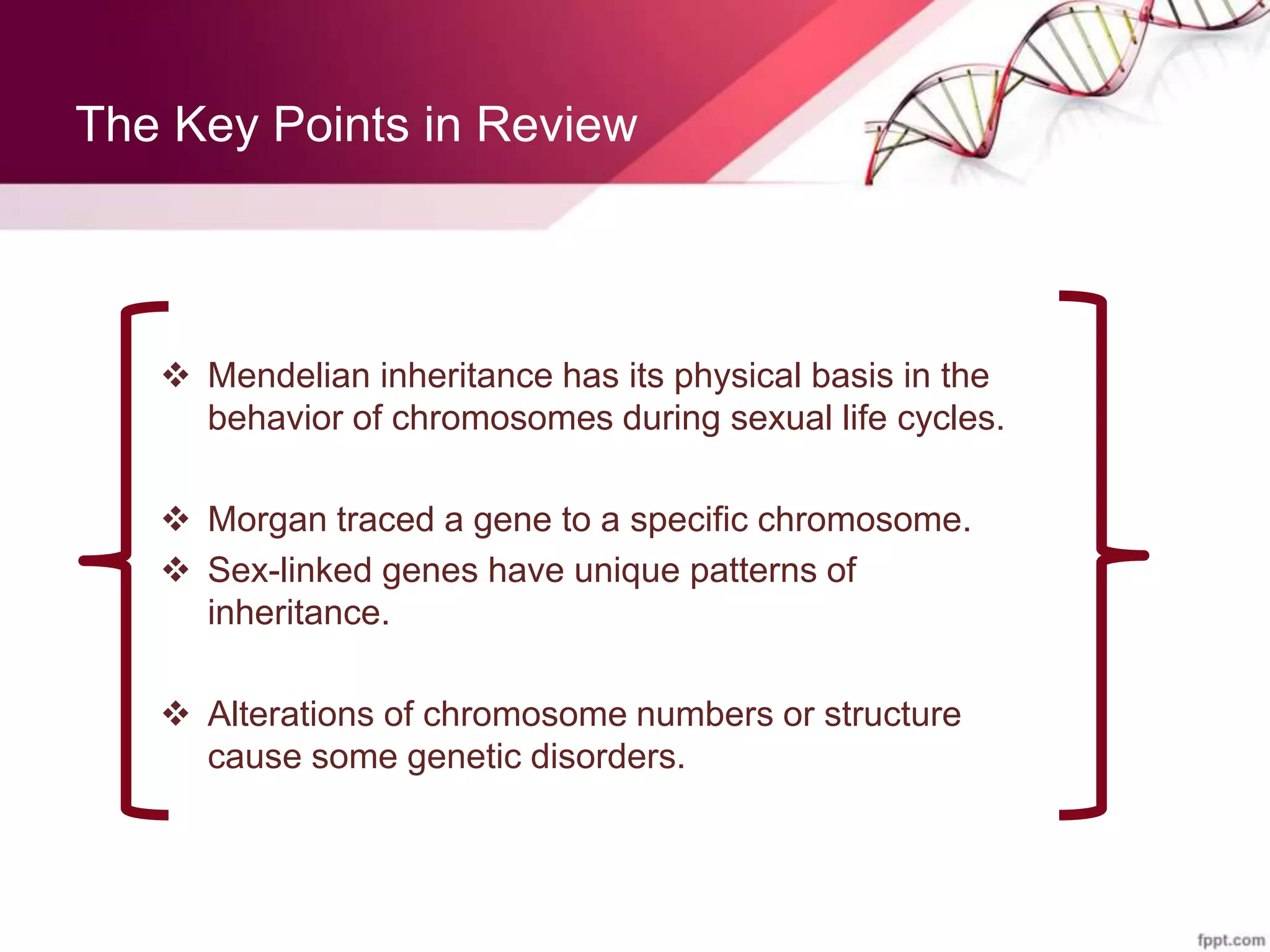 Chromosomal Basis Of Inheritance Pptx Genetics Science