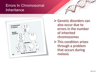 Chromosomal basis of inheritance | PPTX