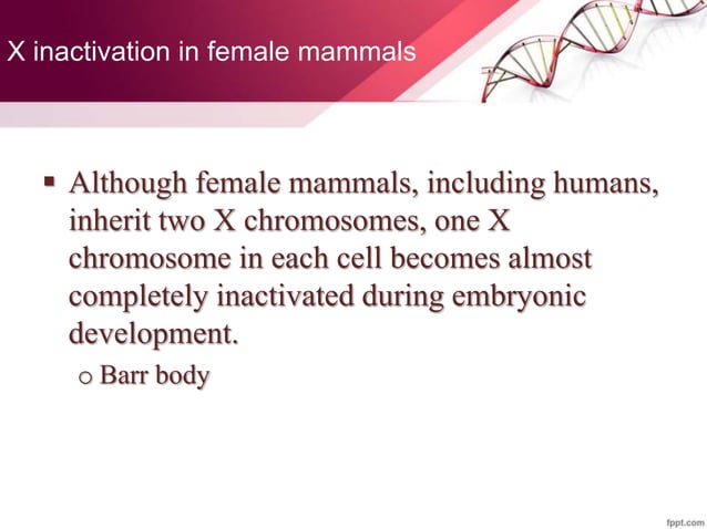 Chromosomal Basis Of Inheritance Pptx Genetics Science