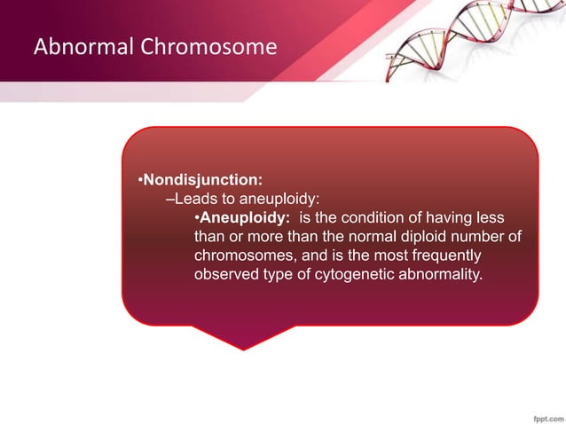 Chromosomal Basis Of Inheritance Pptx Genetics Science