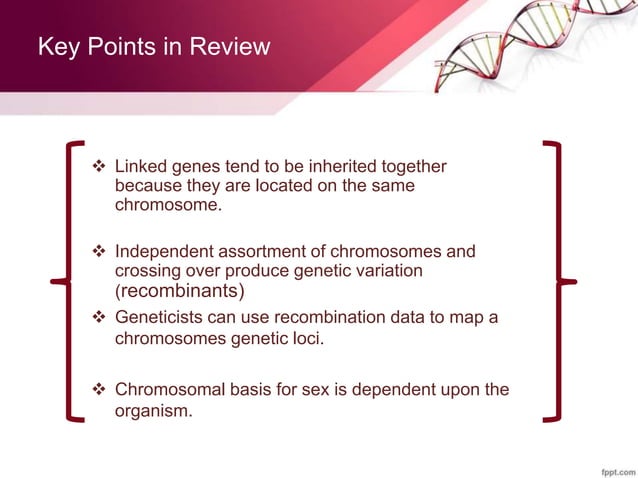 Chromosomal Basis Of Inheritance Ppt