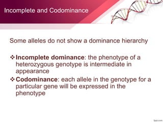 Chromosomal basis of inheritance | PPTX