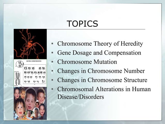 Chromosomal Basis Of Inheritance Pptx