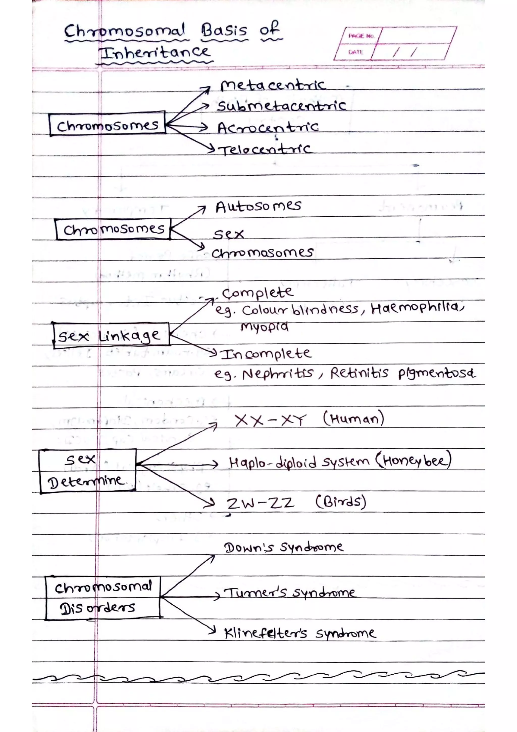 Chromosomal Basis Of Inheritance Pdf