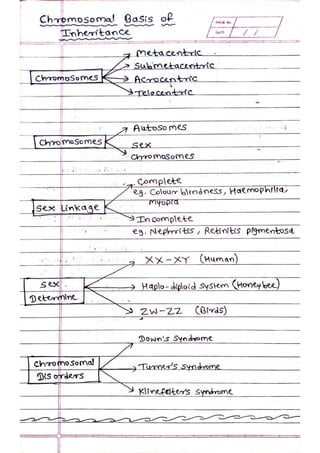Chromosomal Basis of Inheritance | PDF