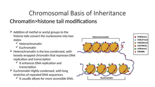 Advanced genetics: Chromosomal Basis of Inheritance - Copy.pptx