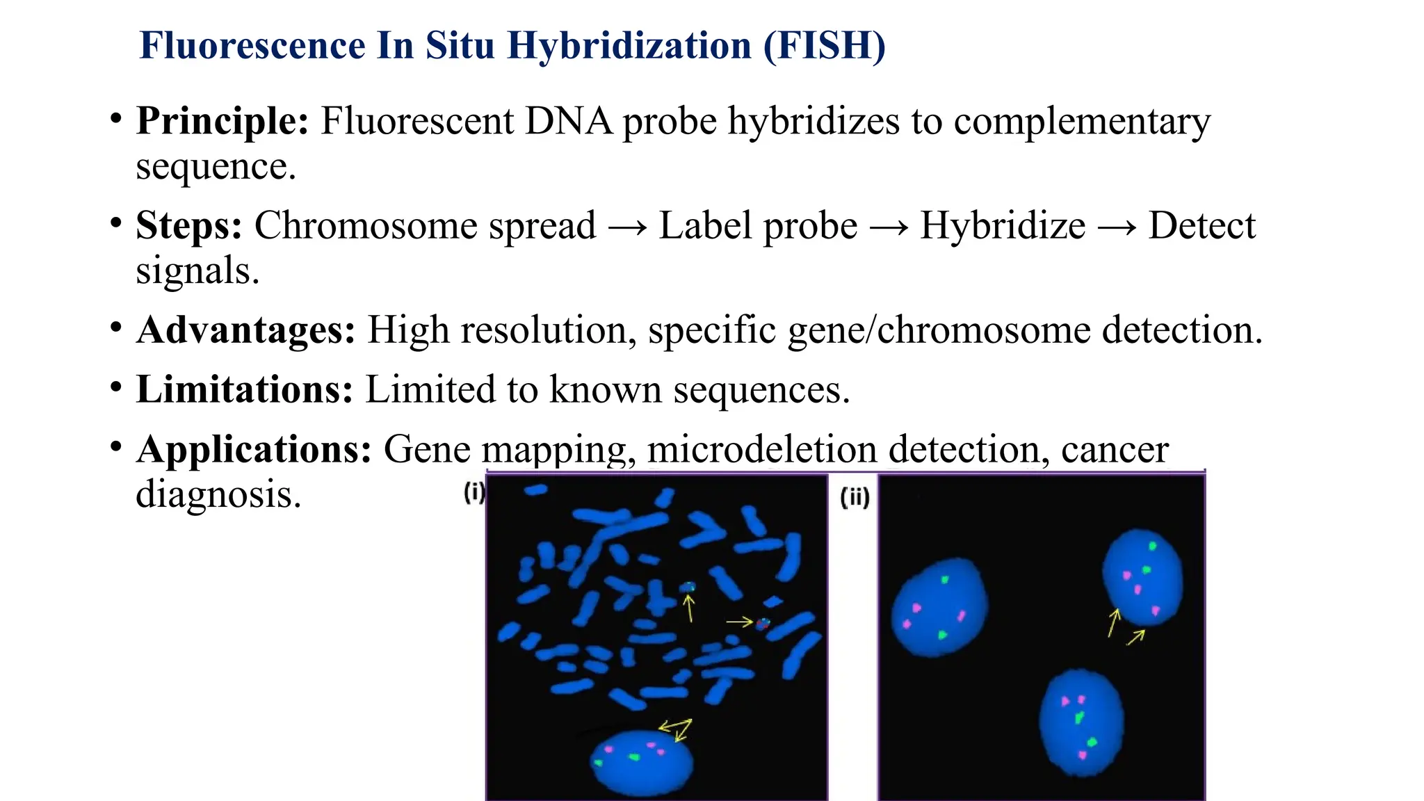 Chromosomal Characterization and walking | PPTX