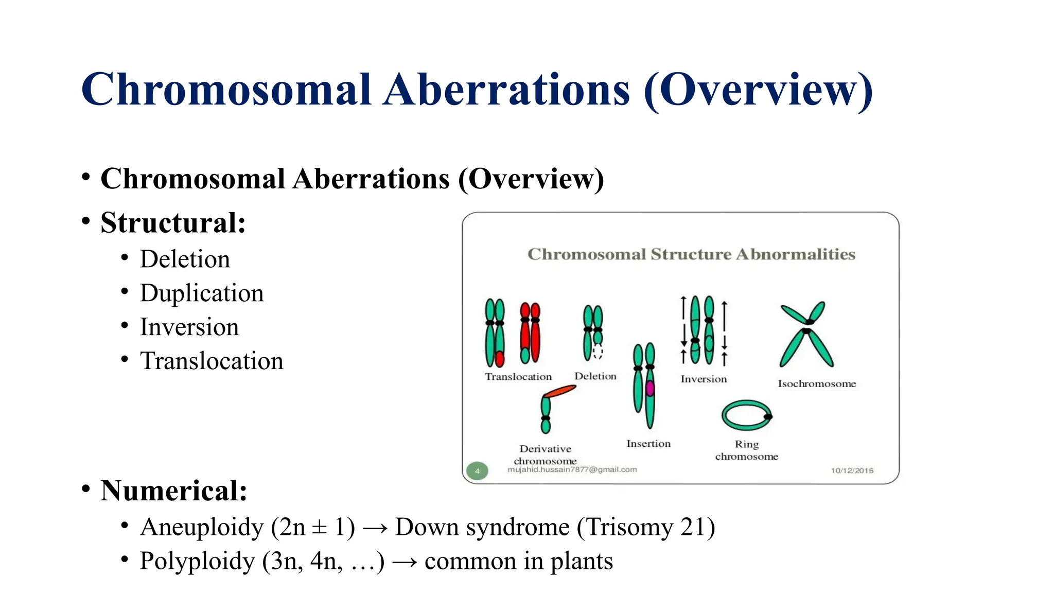 Chromosomal Characterization and walking | PPTX