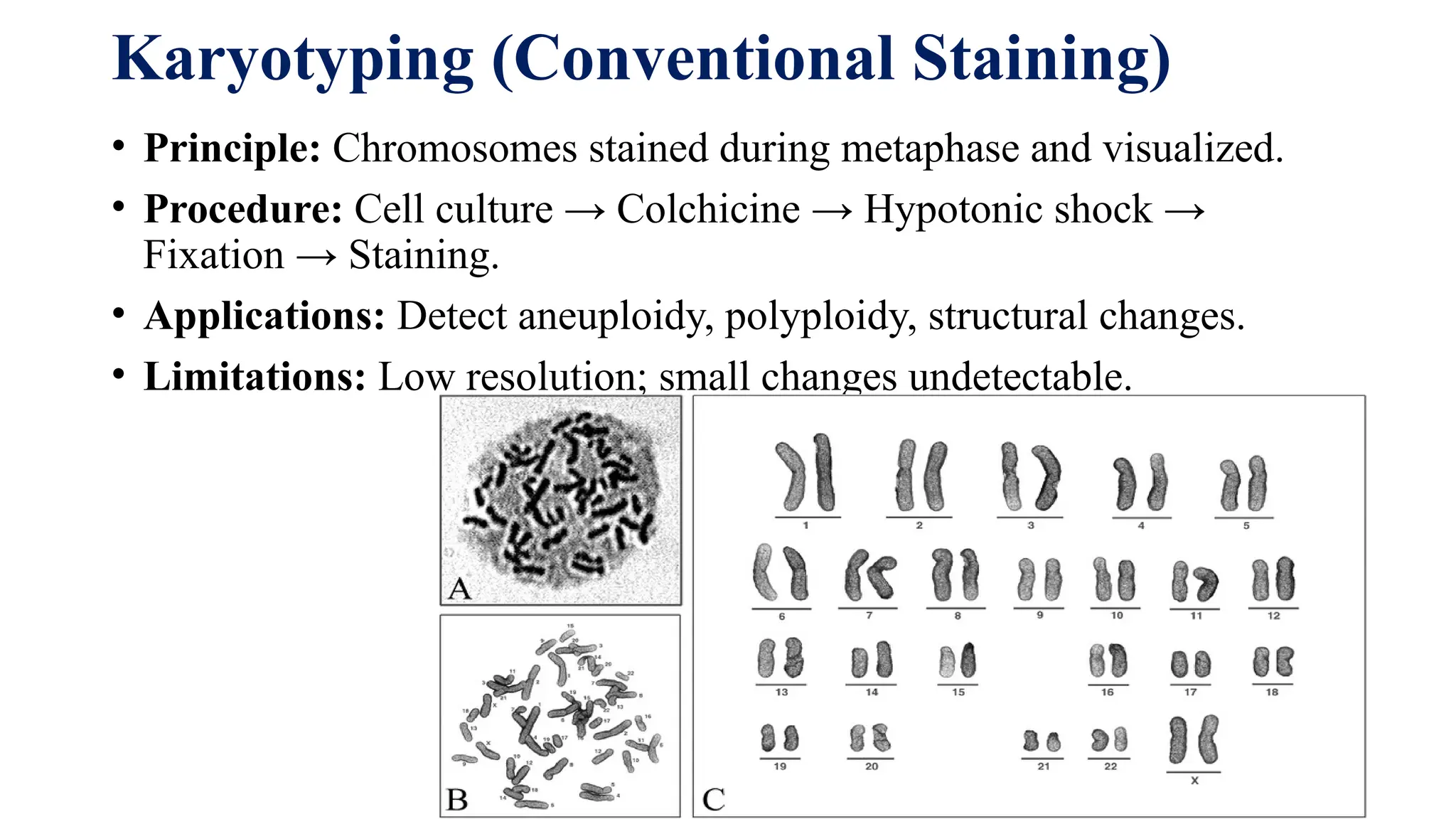 Chromosomal Characterization and walking | PPTX