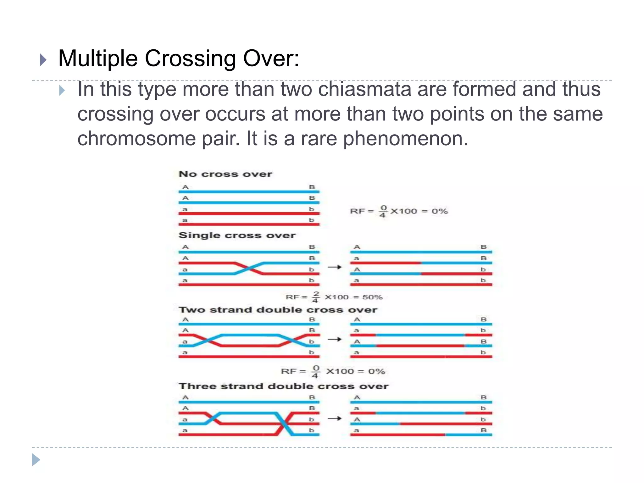 Chromosomal Crossing Over.pptx