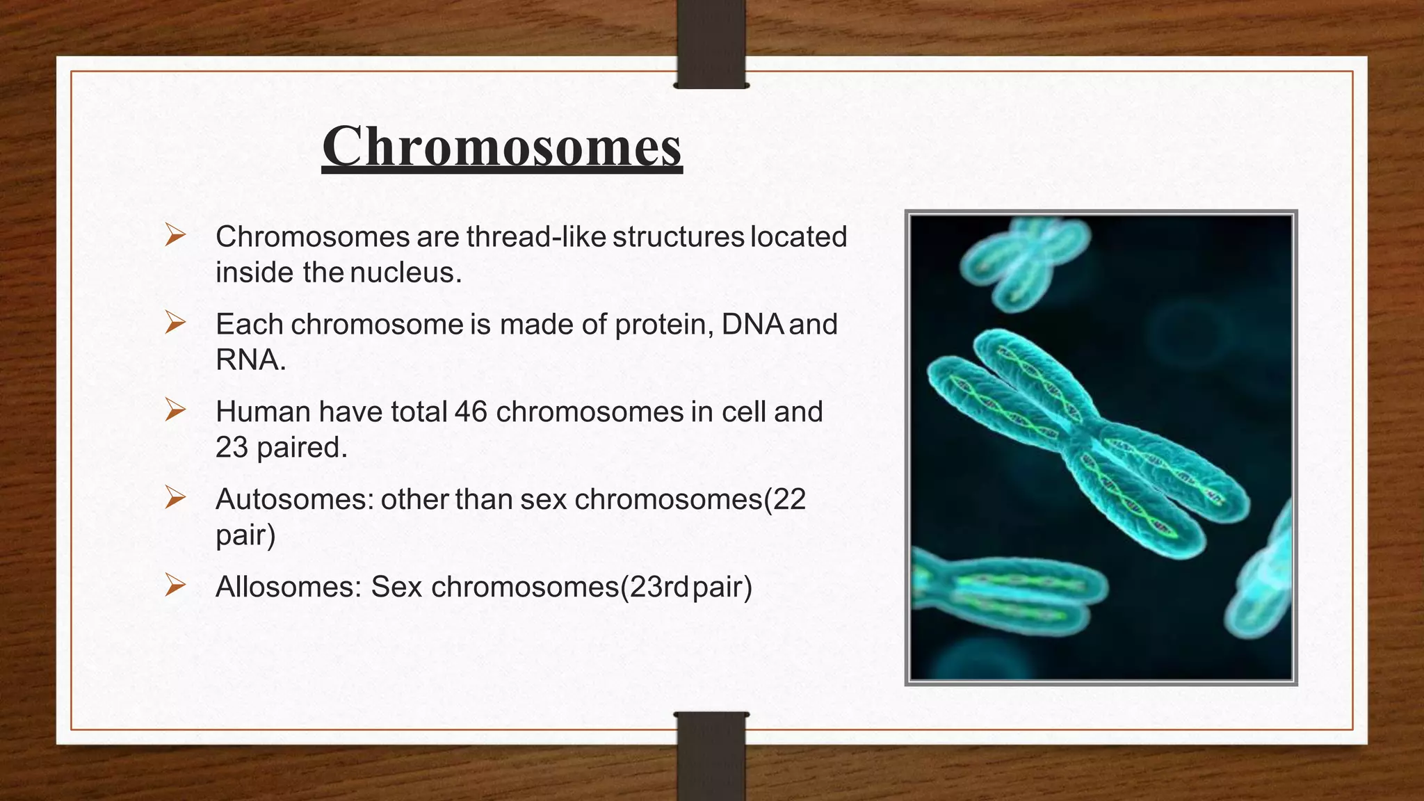 chromosomal disease.pptx