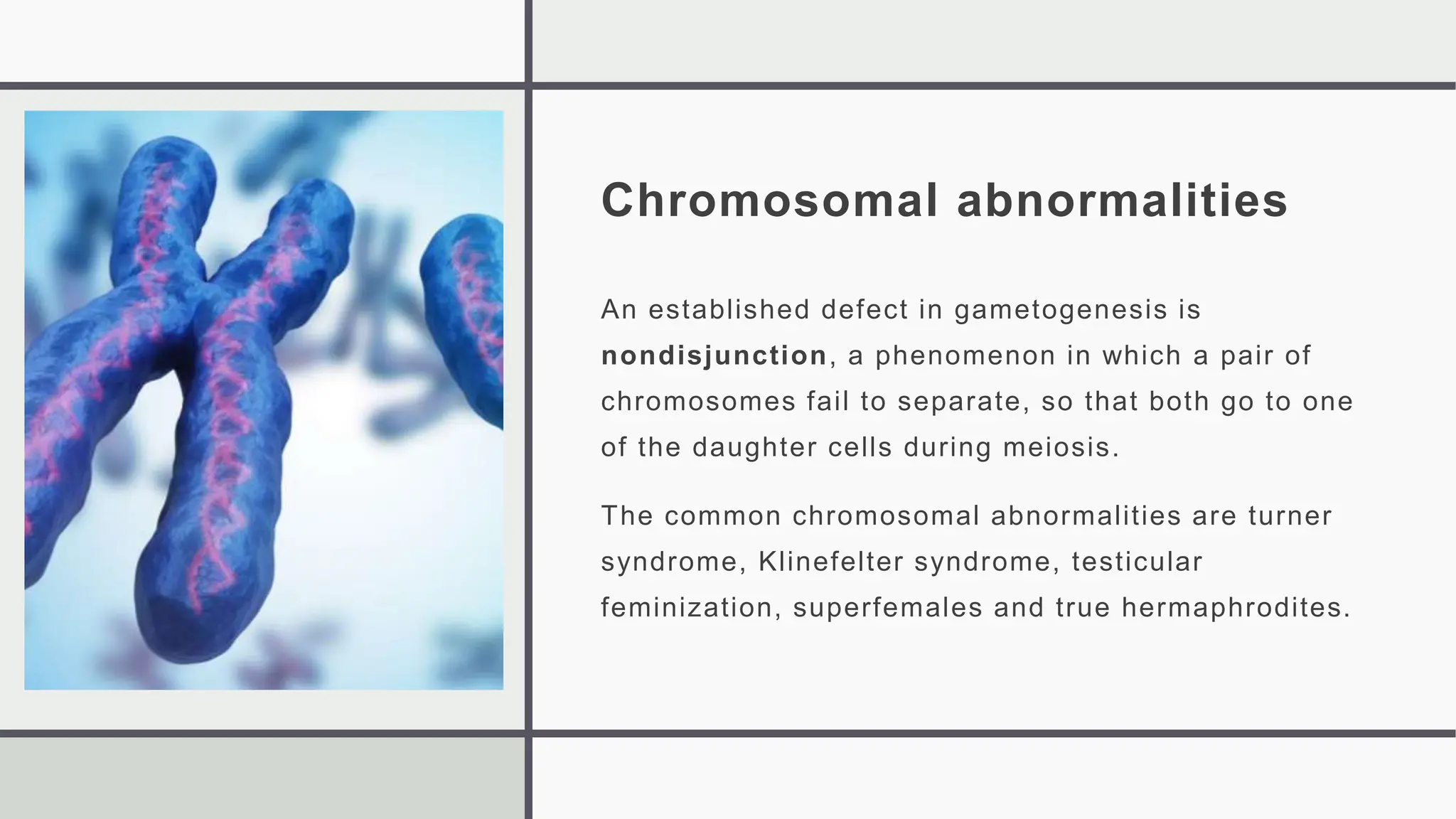 Chromosomal disorder.pptx sex differentiation abnormalities | PPTX