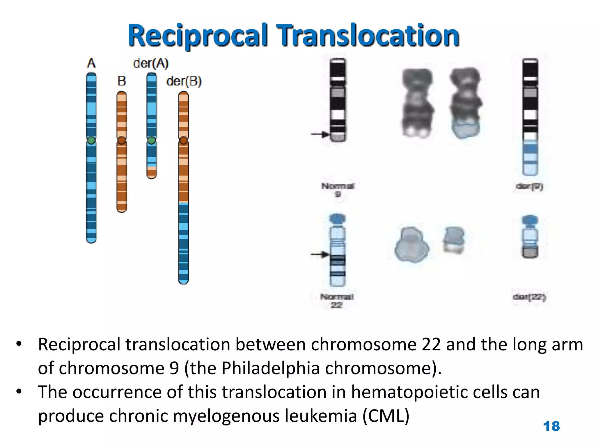 Chromosomal Disorders.pptx