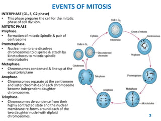 Chromosomal Disorders.pptx