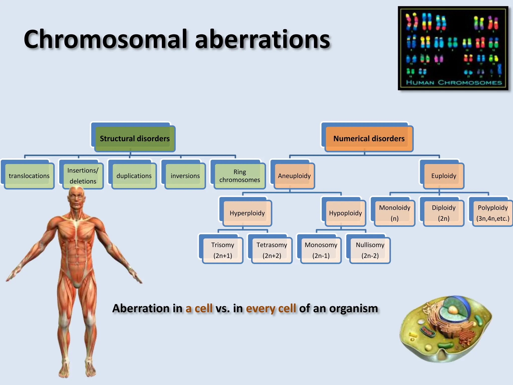 chromosomal disorders of the human body.ppt