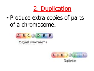 chromosomal disorders of the human body.ppt