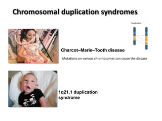chromosomal disorders of the human body.ppt