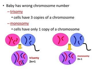 chromosomal disorders of the human body.ppt
