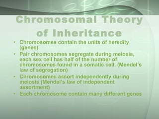 Chromosome Theory Of Inheritance