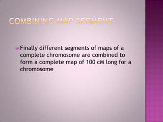 Chromosomal mappin highlighted | PPTX